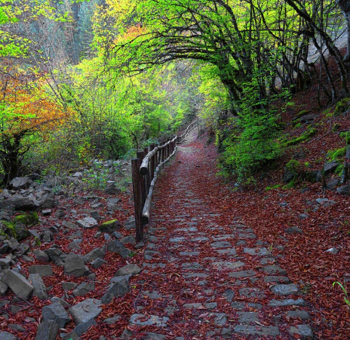 Ηλιοχώρι - Το χωριό που σε καθηλώνει - Epirus Explorer