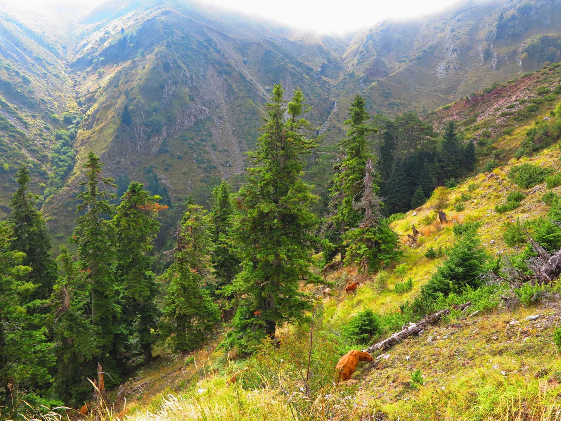 Το πέρασμα του Μπάρου - Μία εντυπωσιακή διαδρομή